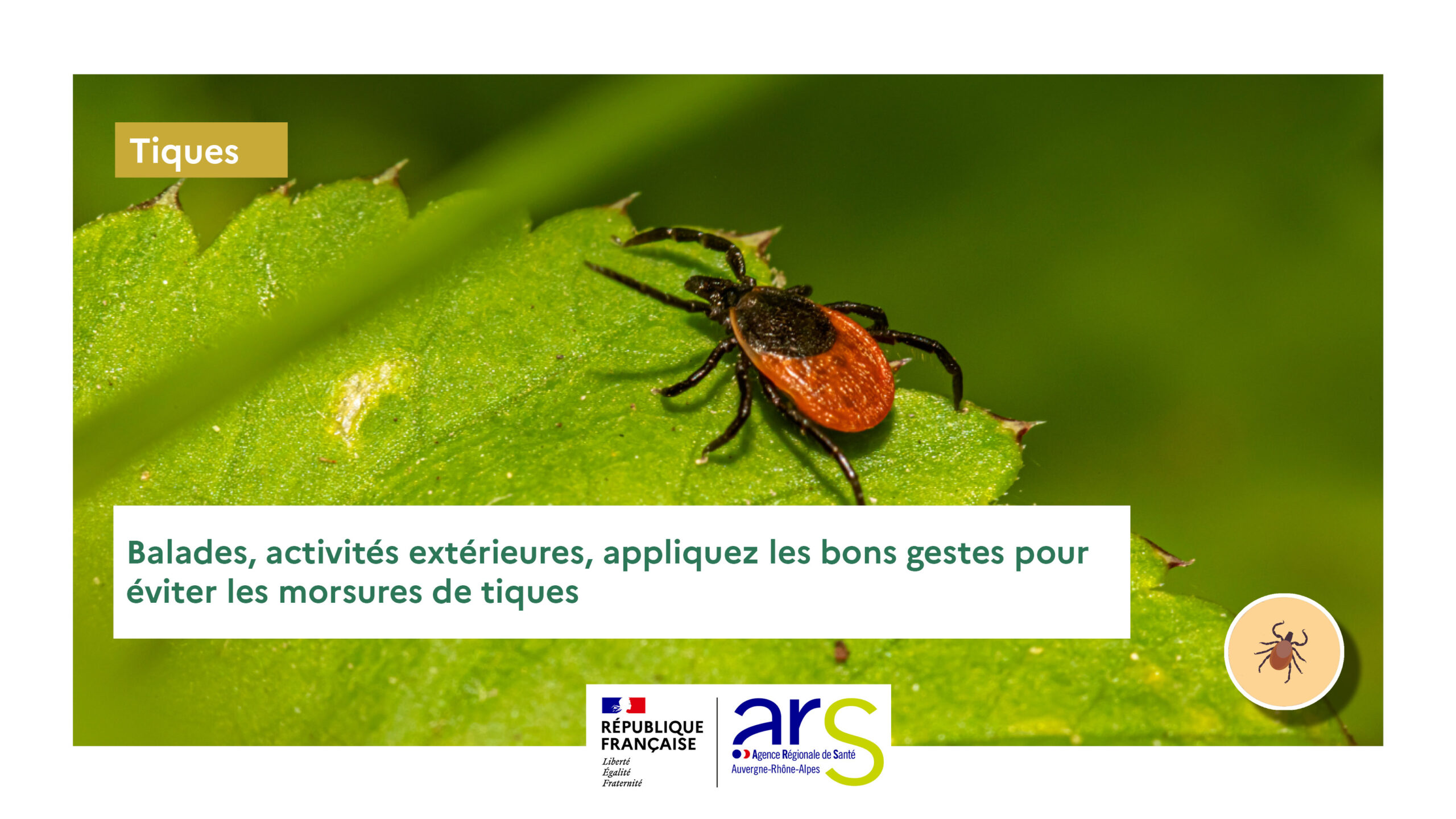 Rappel des gestes de prévention contre les morsures de tique - Eglisolles